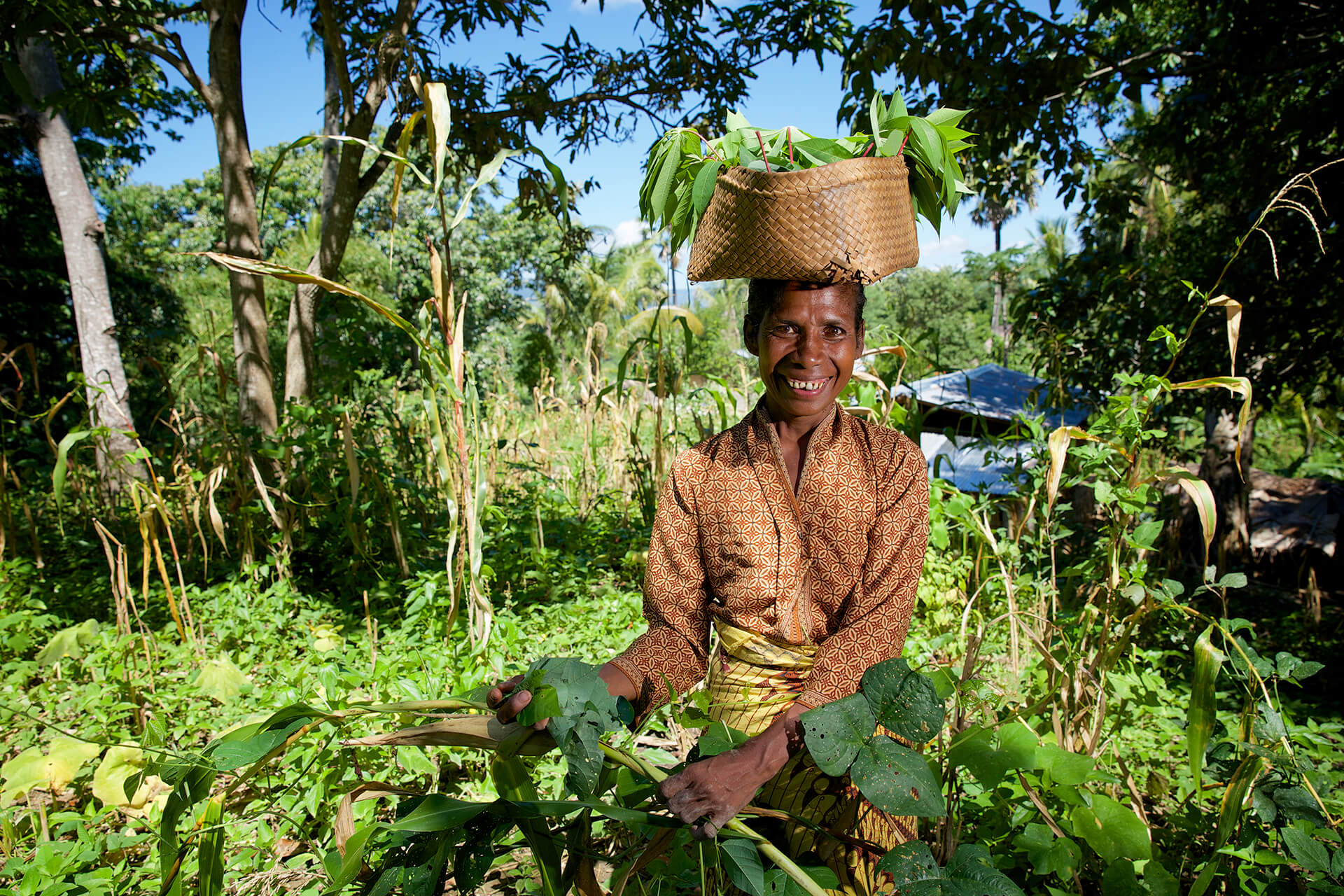 Help people in Timor-Leste | Caritas Australia