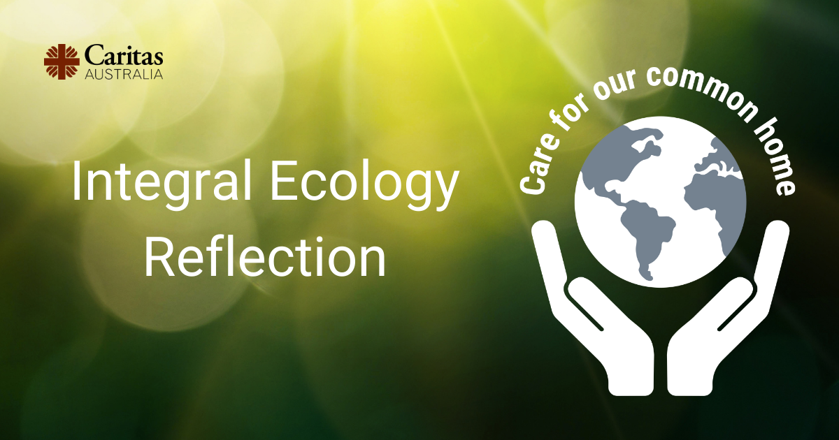Integral Ecology Reflection